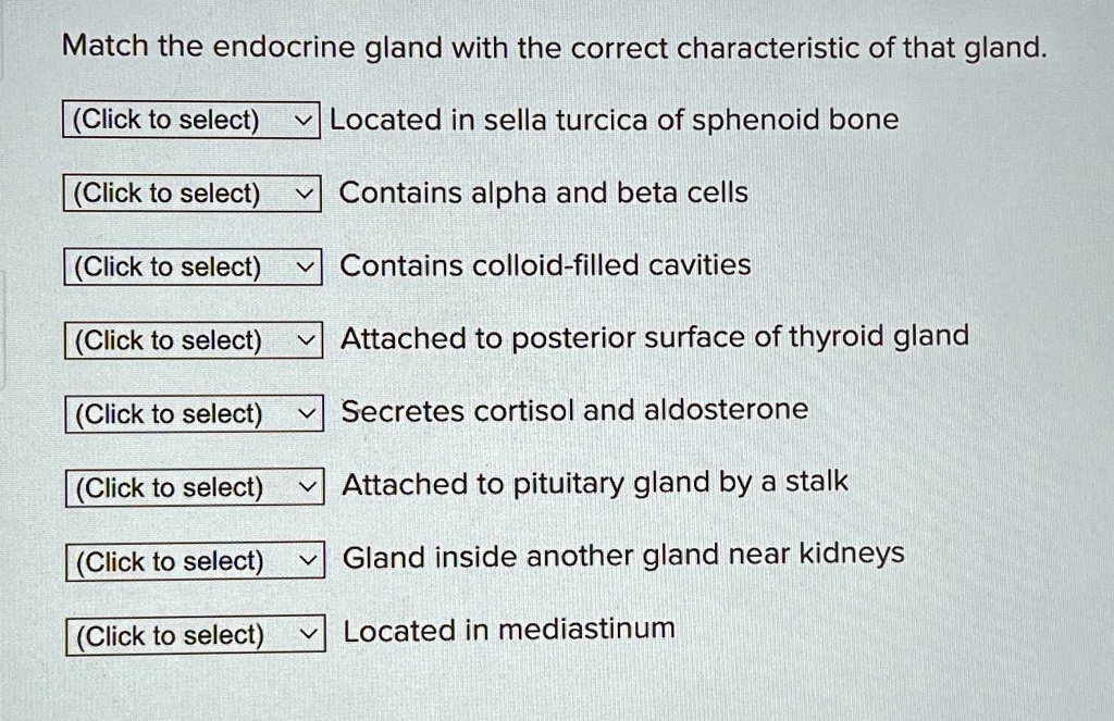 match the endocrine gland with the correct characteristic of that gland ...