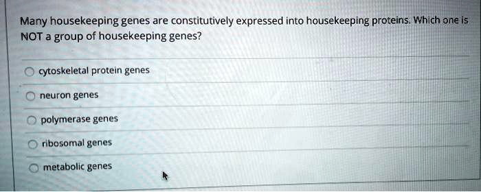 many housekeeping genes are constitutively expressed into housekeeping ...