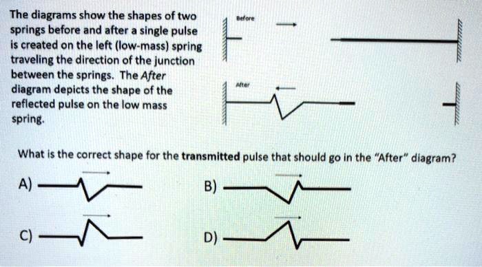 SOLVED:The diagrams show the shapes of two springs before and after ...