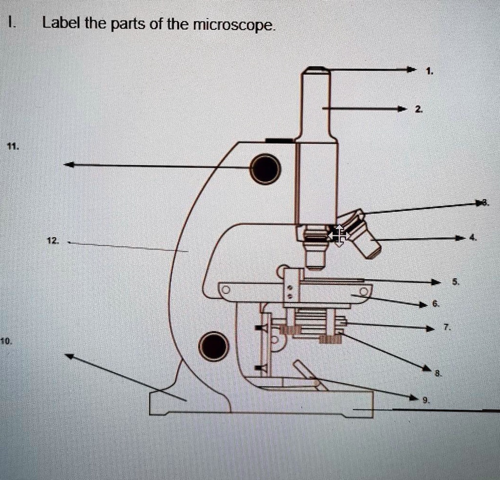 SOLVED: 'I. Label the parts of the microscope. Label the parts of the ...