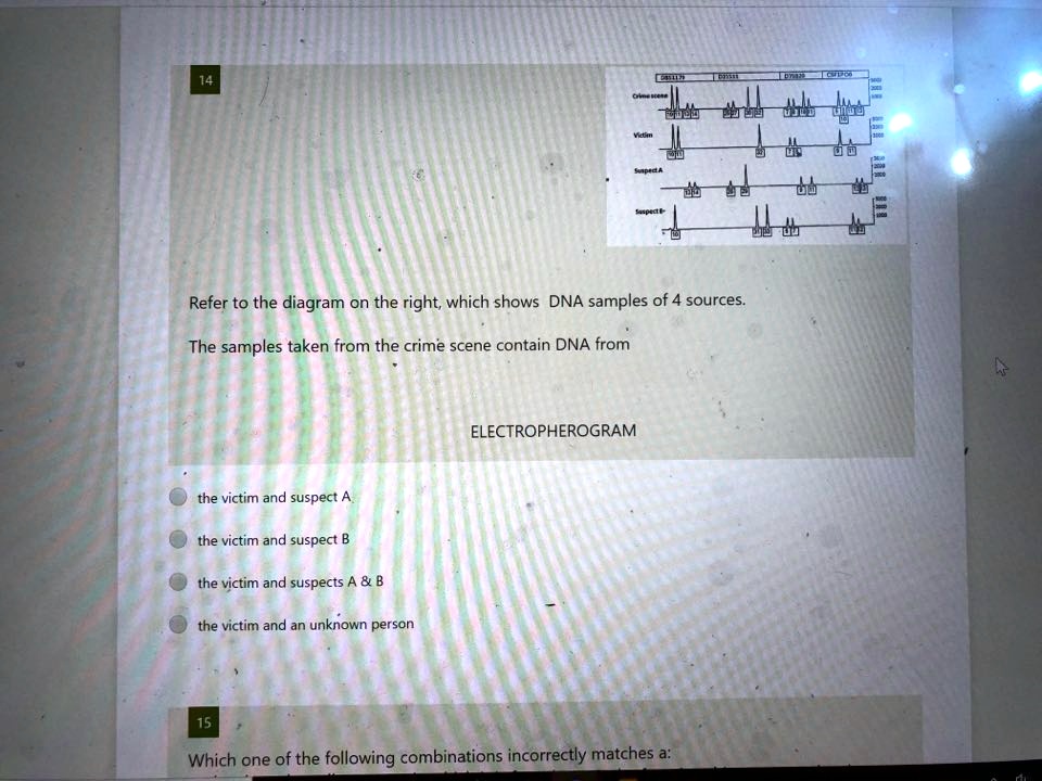 Solved Refer To The Diagram On The Right Which Shows Dna Samples Of 4