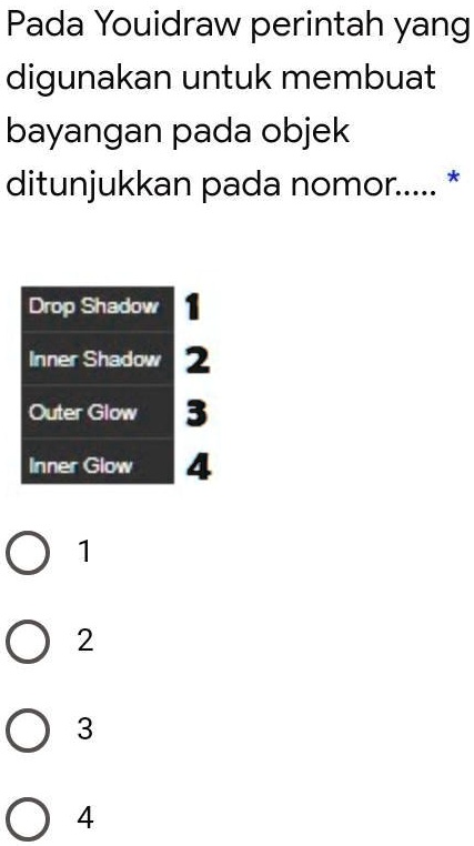 Solved A 1 Drop Shadowb 2 Inner Shadowc 3 Outer Glowd 4 Inner Glow