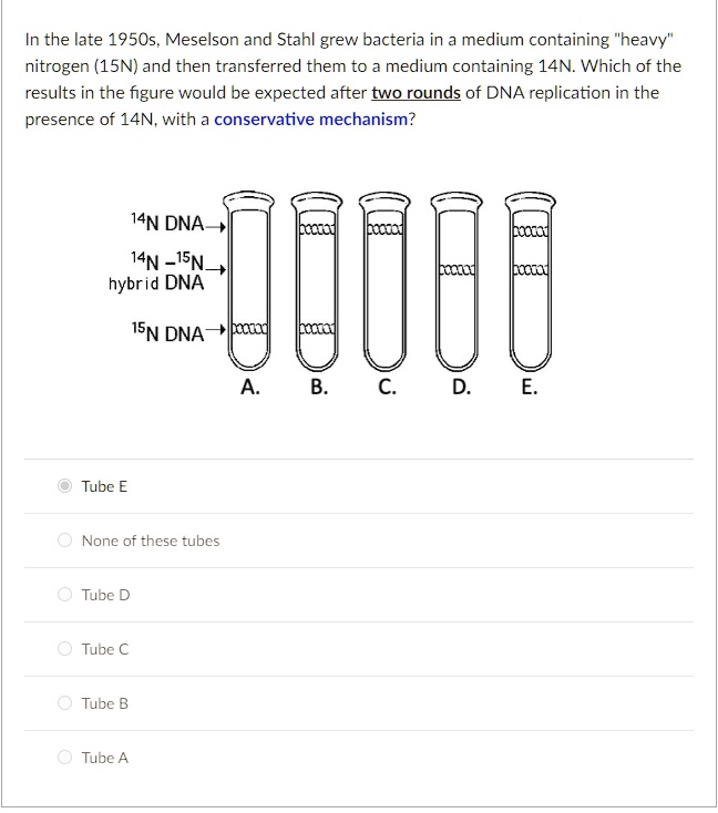 In the late 1950s, Meselson and Stahl grew bacteria in a medium ...