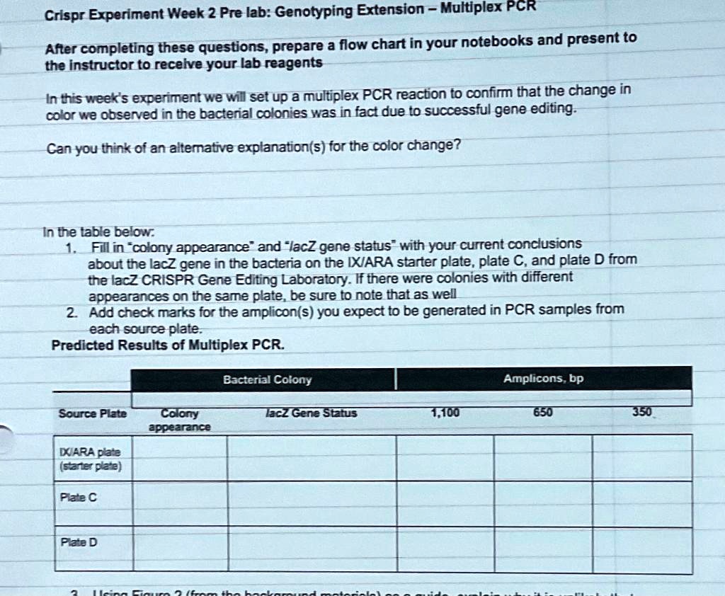 VIDEO solution: CRISPR Experiment Week 2 Pre-lab: Genotyping Extension ...