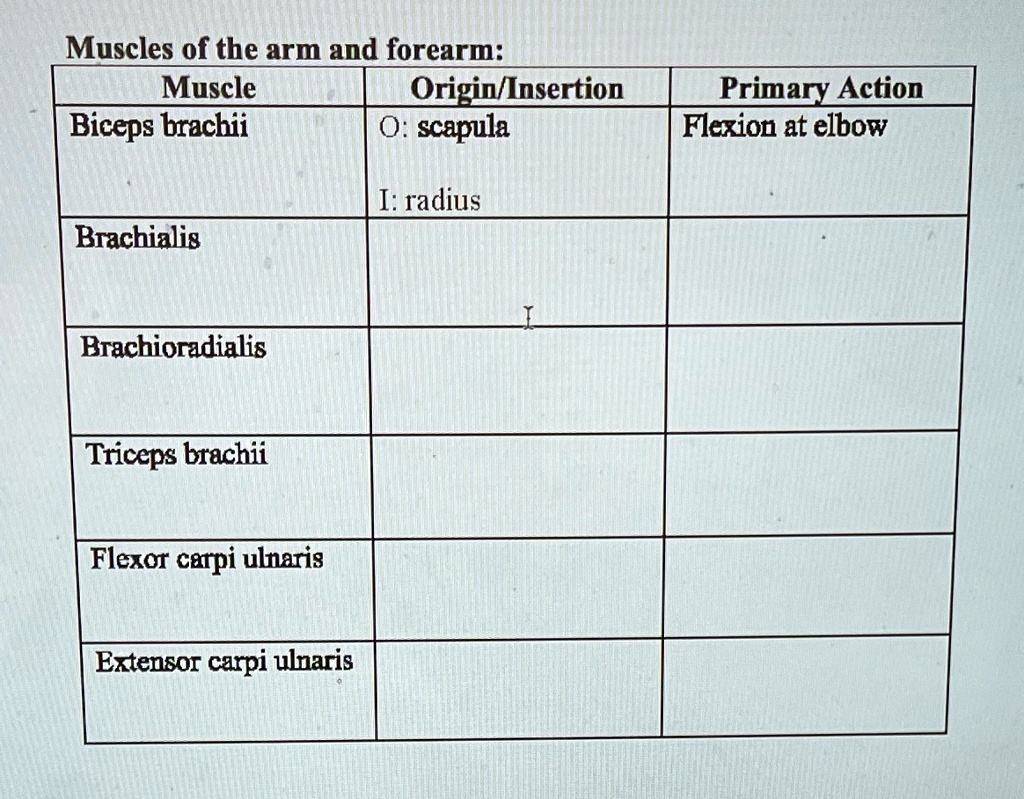 Muscles of the arm and forearm: Muscle Origin/Insertion Primary Action Biceps brachii O: scapula ...