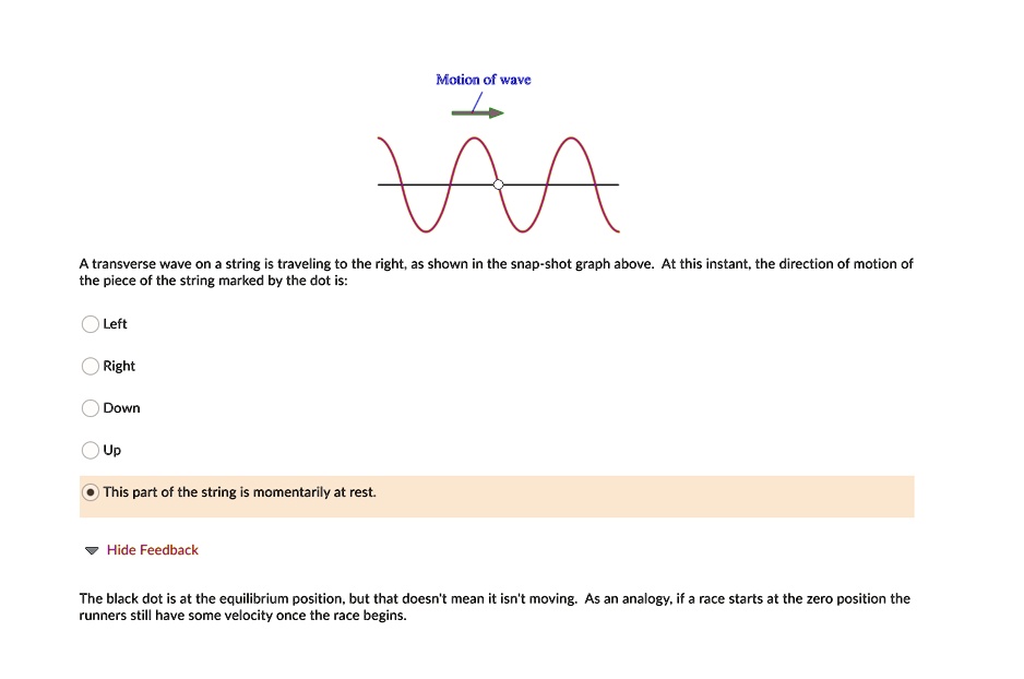 SOLVED: Mation of wave transverse wave On string traveling the right ...