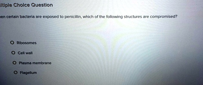 Multiple Choice Question When certain bacteria are exposed to ...