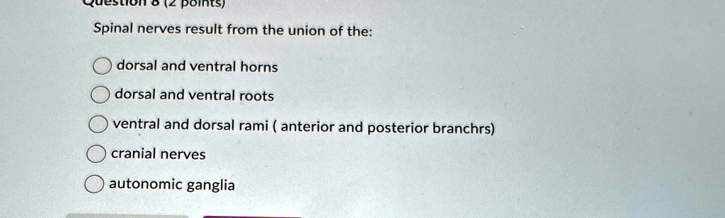 (2 points) Spinal nerves result from the union of the: dorsal and ...