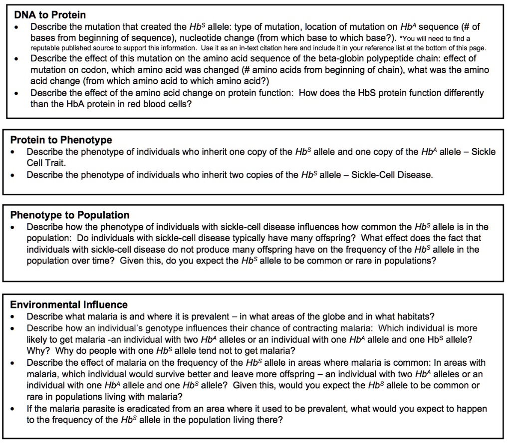 SOLVED: DNA to Protein Describe the mutation that created the Hbs ...