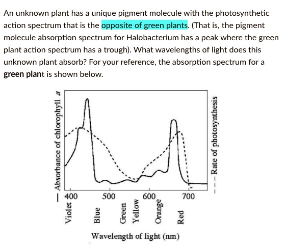 an unknown plant has unique pigment molecule with the photosynthetic ...