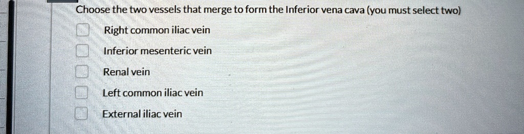 choose the two vessels that merge to form the inferior vena cava you ...