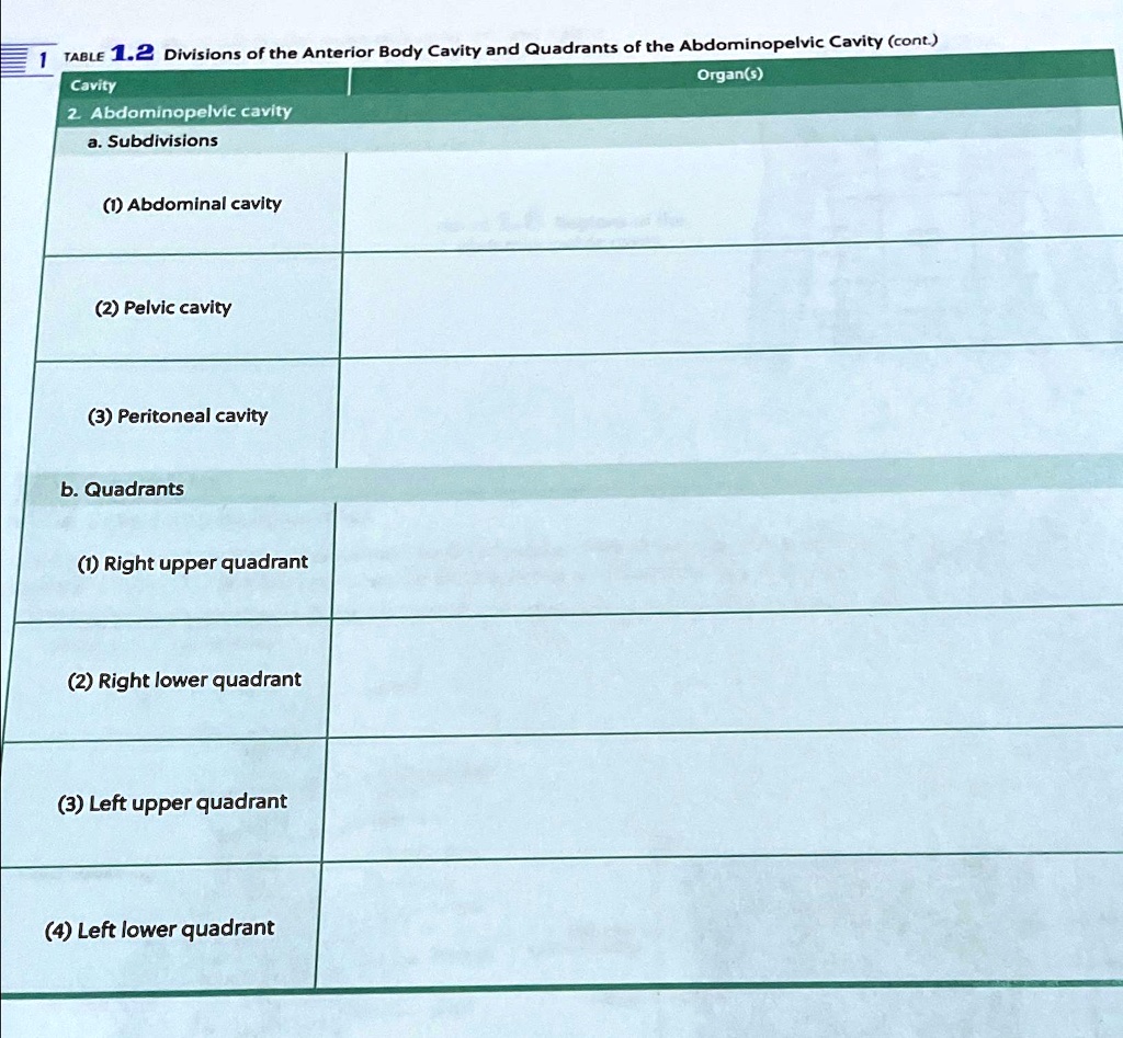 TABLE 1.2 Divisions of the Anterior Body Cavity and Quadrants of the ...