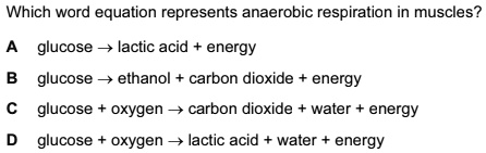 SOLVED: Which word equation represents anaerobic respiration in muscles ...