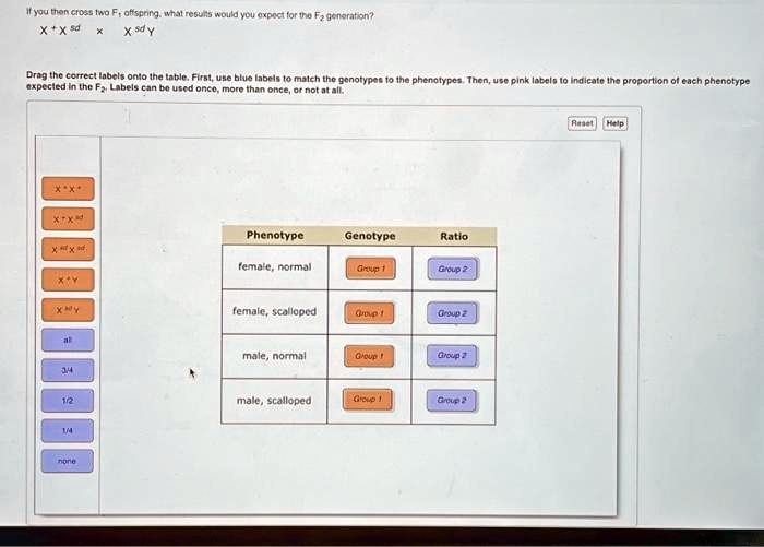 SOLVED: Texts: genetics If you then cross two F offspring, what results ...