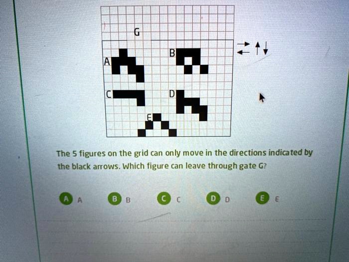 The 5 figures on the grid can only move in the directions...