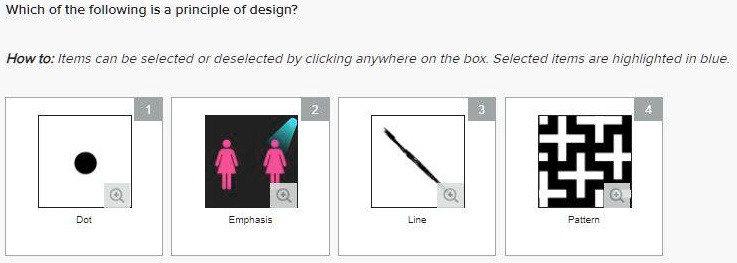 SOLVED: Which of the following is one of the roles of the facilitator ...