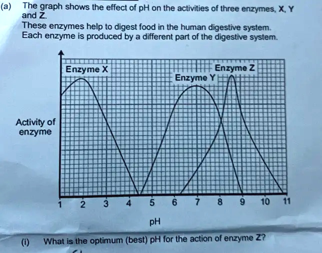 SOLVED: (a) The graph shows the effect of pH on the activities of three ...