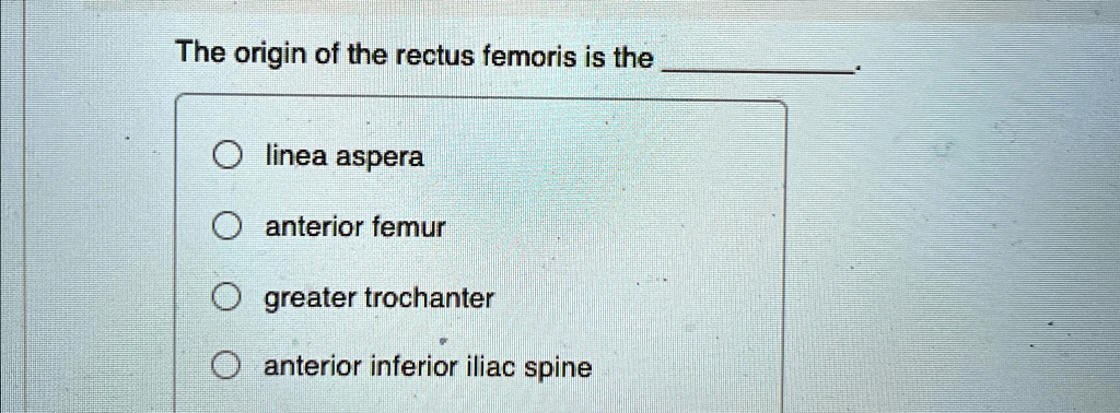 The origin of the rectus femoris is the anterior inferior iliac spine.