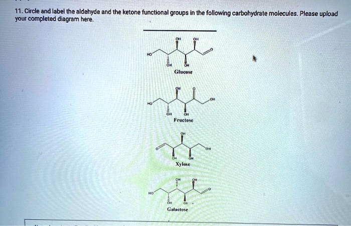 11. Circle and label the aldehyde and the ketone functional...