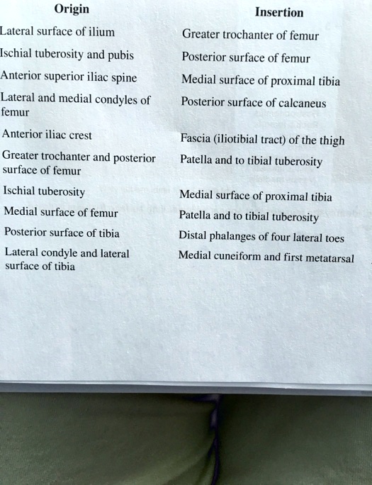 SOLVED: Text: Name the muscles involved Origin Insertion: Greater ...