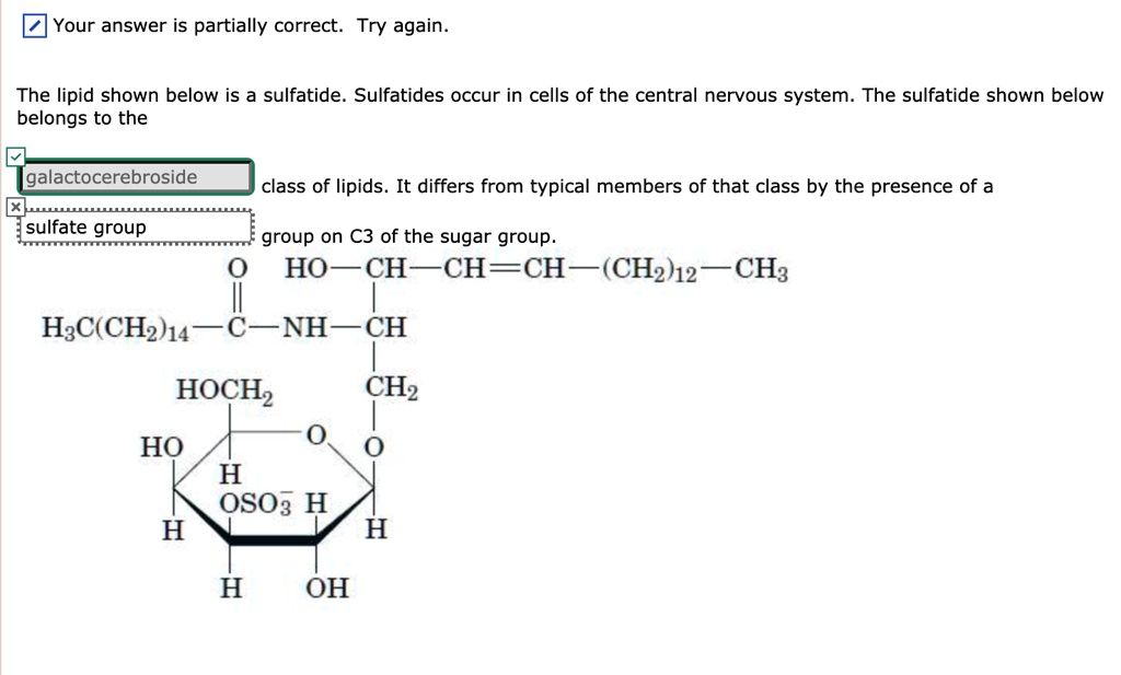 SOLVED: Your answer is partially correct: Try again The lipid shown ...
