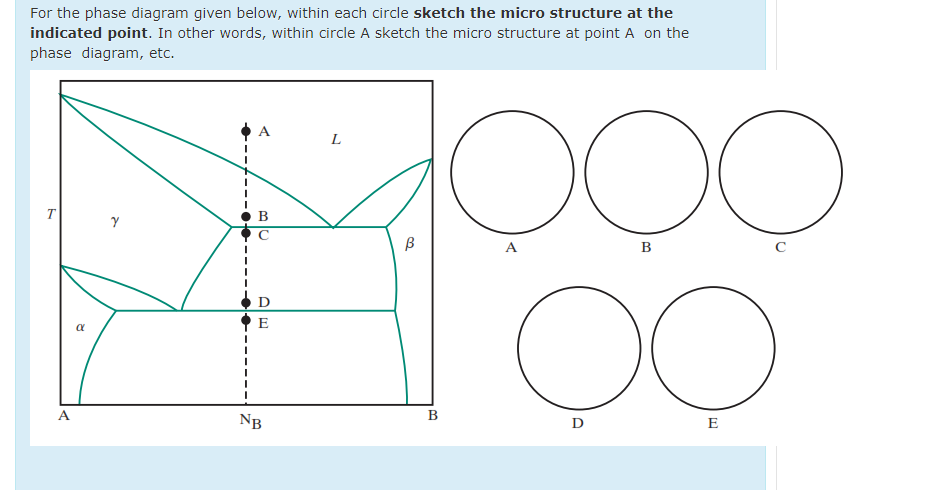 SOLVED: For the phase diagram given below, within each circle sketch ...