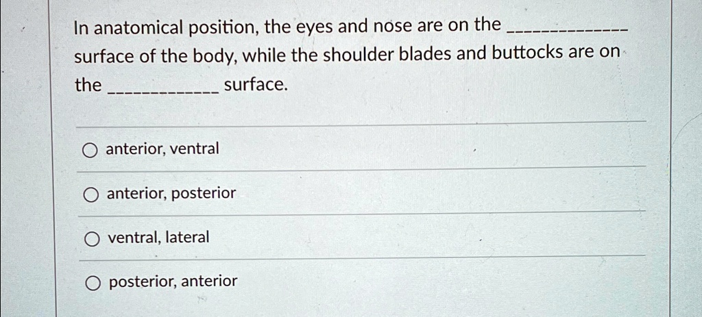 [GET ANSWER] In anatomical position, the eyes and nose are on the ...