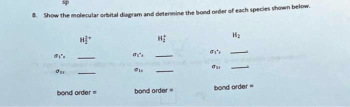 order of each species shown below show the molecular orbital diagram ...