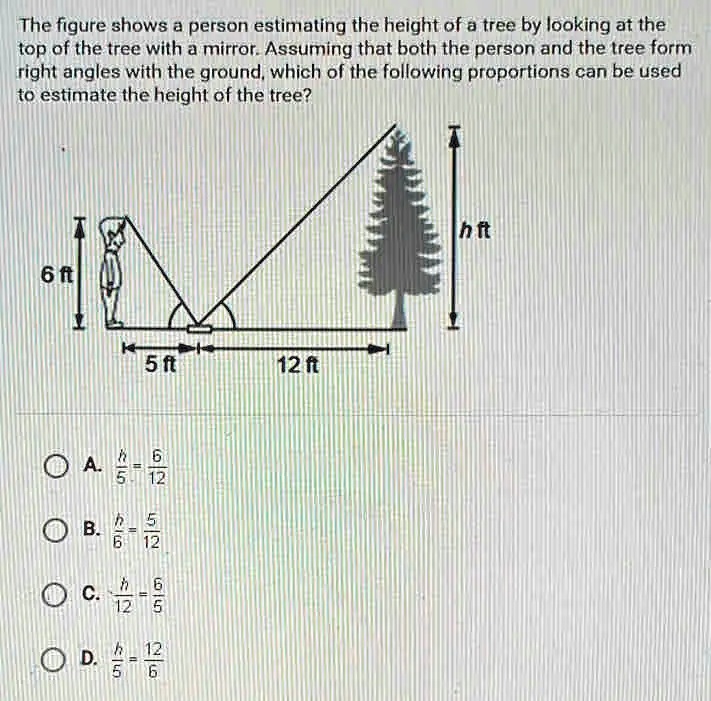 SOLVED: The figure shows a person estimating the height of 8 tree by ...