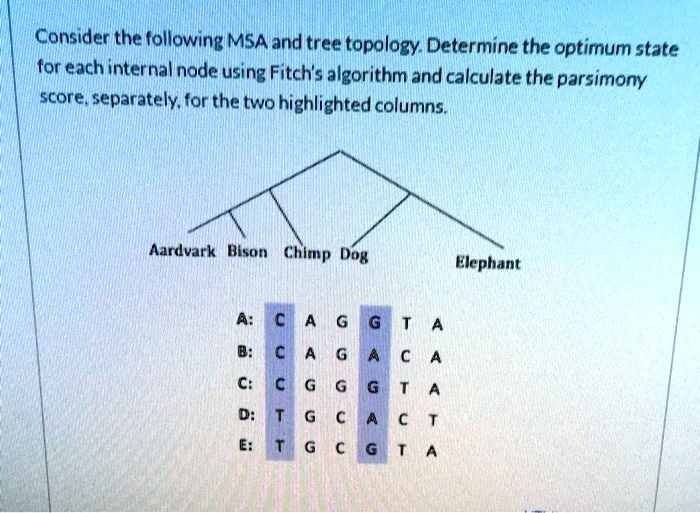 SOLVED: Consider the following MSA ard tree topology Determine the ... SOLVED: Consider the following MSA ard tree topology Determine the ...