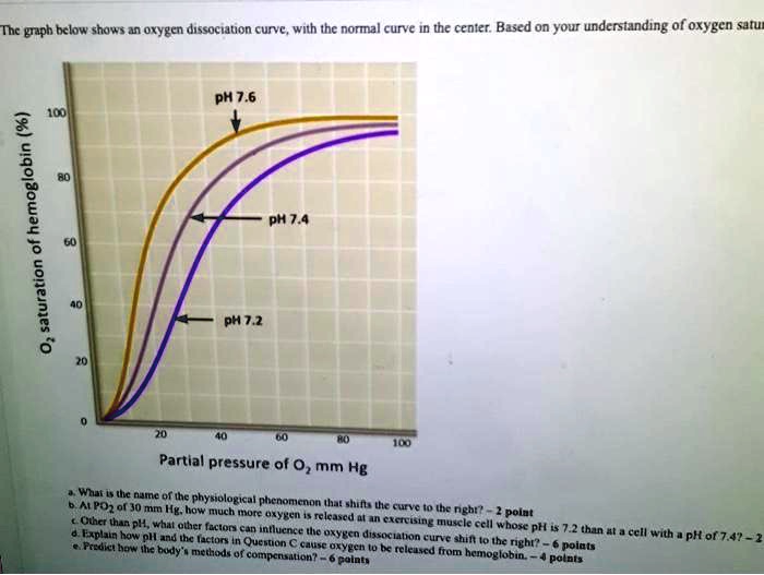 SOLVED: The graph below shows an oxygen dissociation curve, with the ...