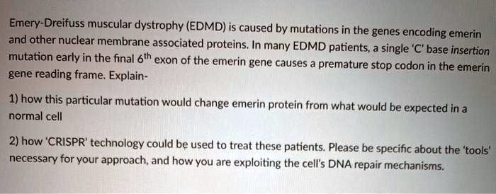 Emery-Dreifuss muscular dystrophy (EDMD) is caused by mutations in the ...