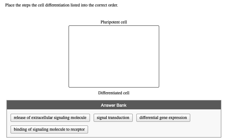 SOLVED: Place the steps the cell differentiation listed into the ...