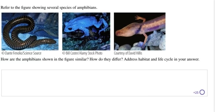 Refer to the figure showing several species of amphibians. How are the ...