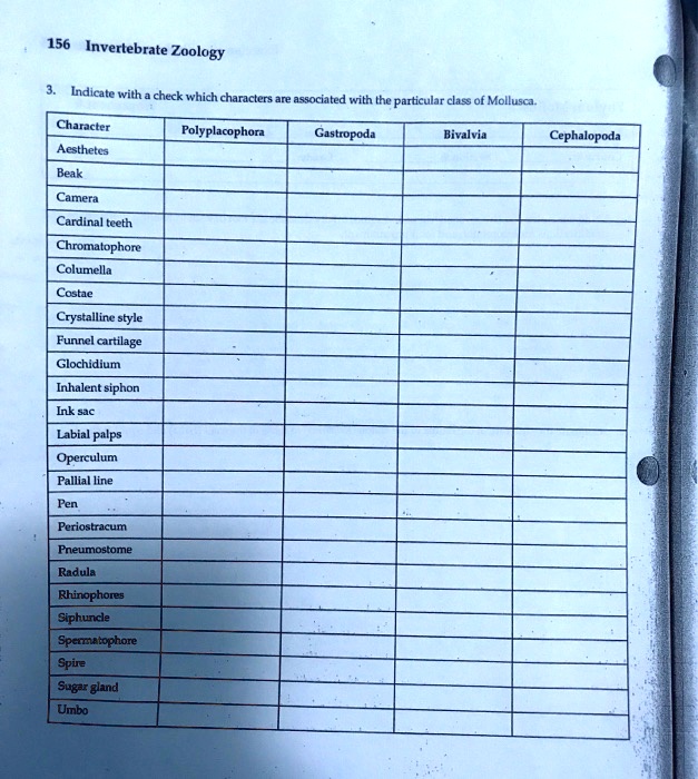 156 invertebrate zoology indicate with check which characters are ...