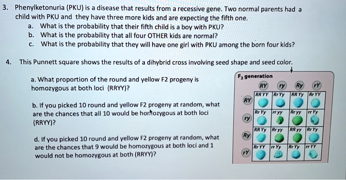 SOLVED: Phenylketonuria (PKU) is disease that results from recessive ...