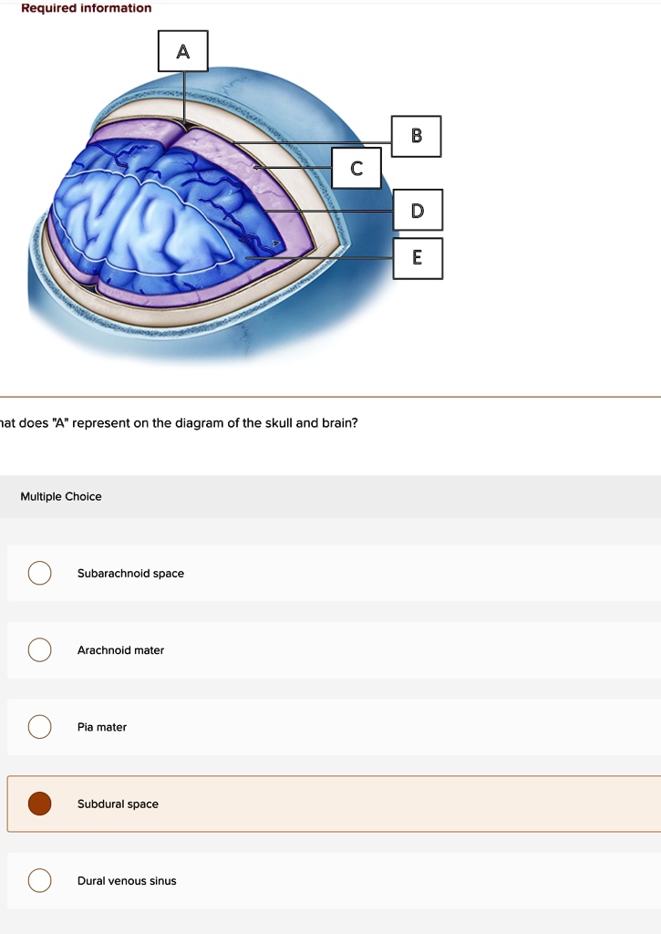Required information A B C D E What does "A" represent on the diagram ...
