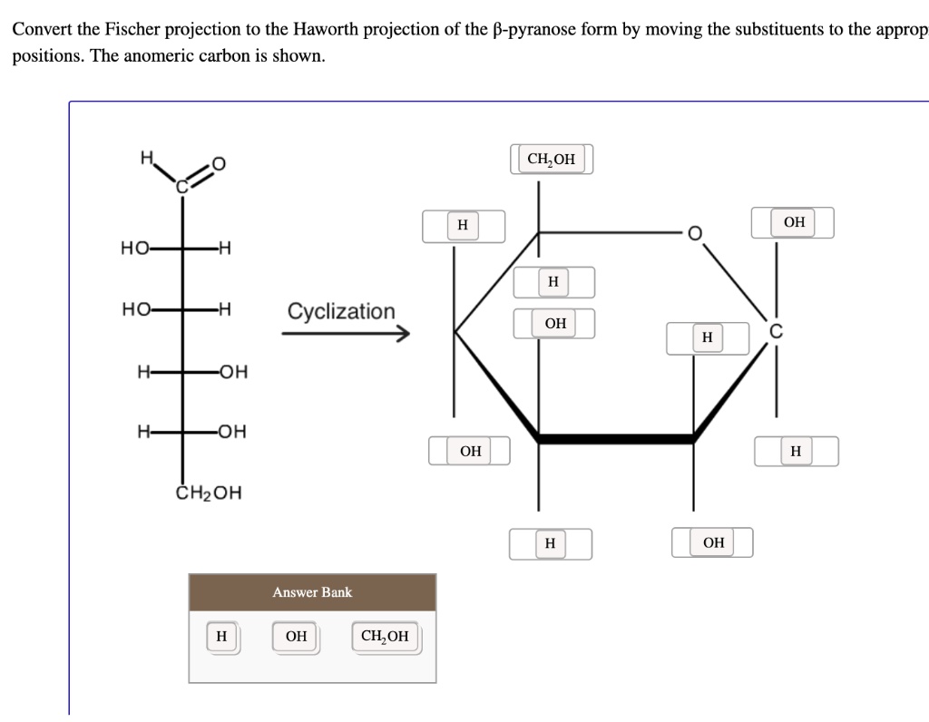 SOLVED: Convert the Fischer projection to the Haworth projection of the ...