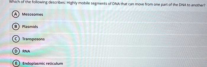 SOLVED:Which of the following describes: Highly mobile segments of DNA ...