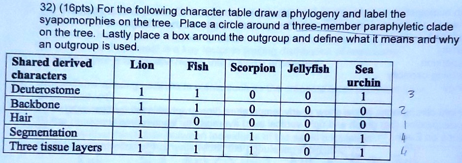 SOLVED: 32) (16 pts) For the following character table, draw a ...