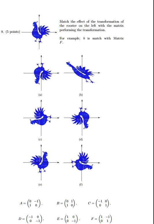 8. (5 points) Match the effect of the transformation of the rooster on ...
