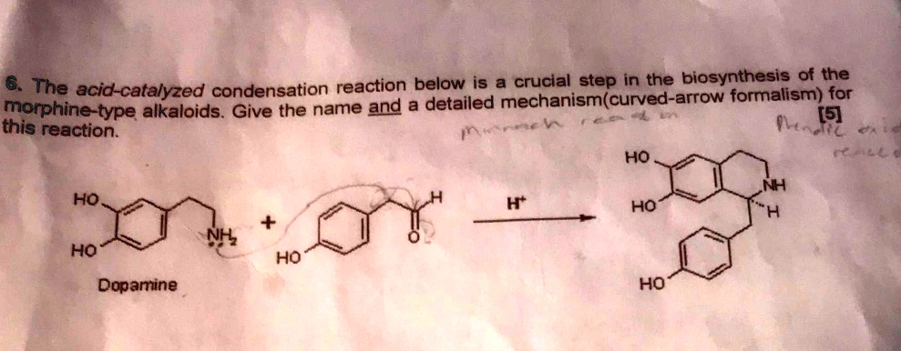 6 the acid catalyzed condensation reaction below is a crucial step in ...