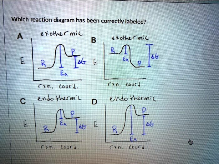 Which reaction diagram has been correctly labeled? A … - SolvedLib