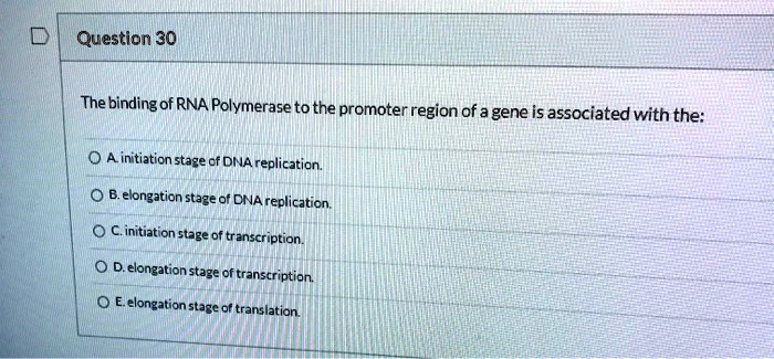 SOLVED: Question 30 The bindingof RNA Polymerase to the promoter region ...