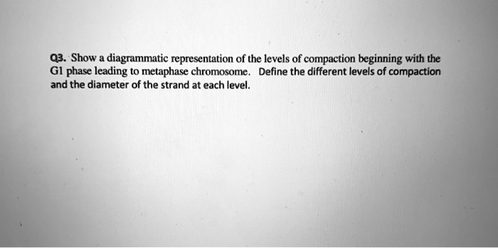SOLVED: 03. Show diagrammatic representation of the levels of ...