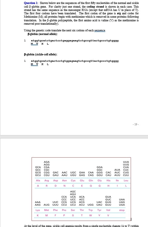 Question 1: Shown below are the sequences of the first fifty nucleotides of the normal and ...