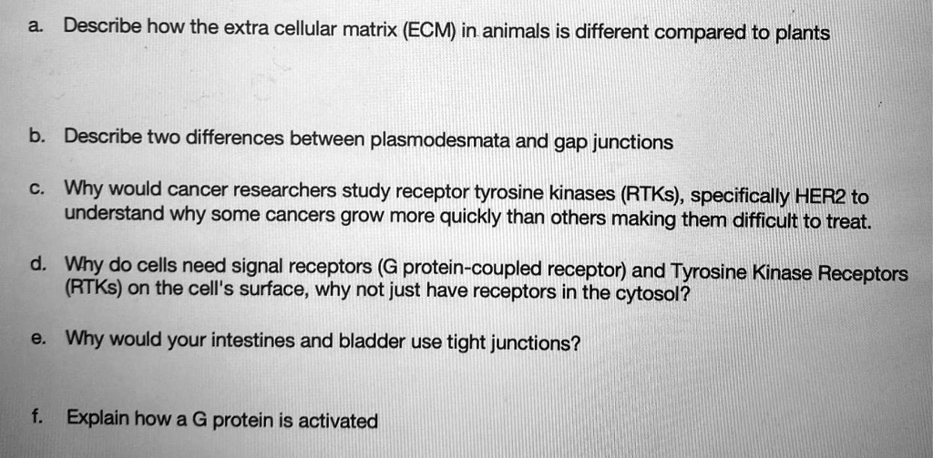 SOLVED:Describe how the extra cellular matrix (ECM) in animals is ...