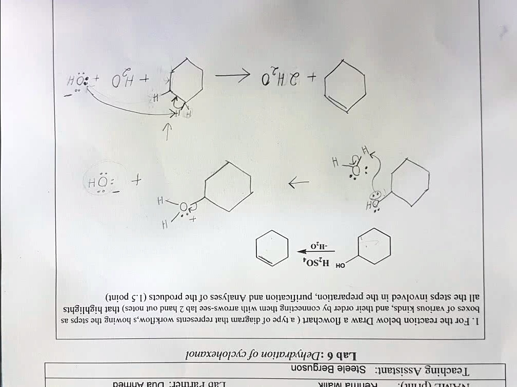 SOLVED: Teaching Assistant: Steele Berguson Lab 6: Dehydration of cyclohexanol 1. For the ...