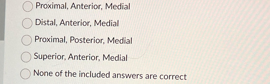 Proximal, Anterior, Medial Distal, Anterior, Medial Proximal, Posterior ...