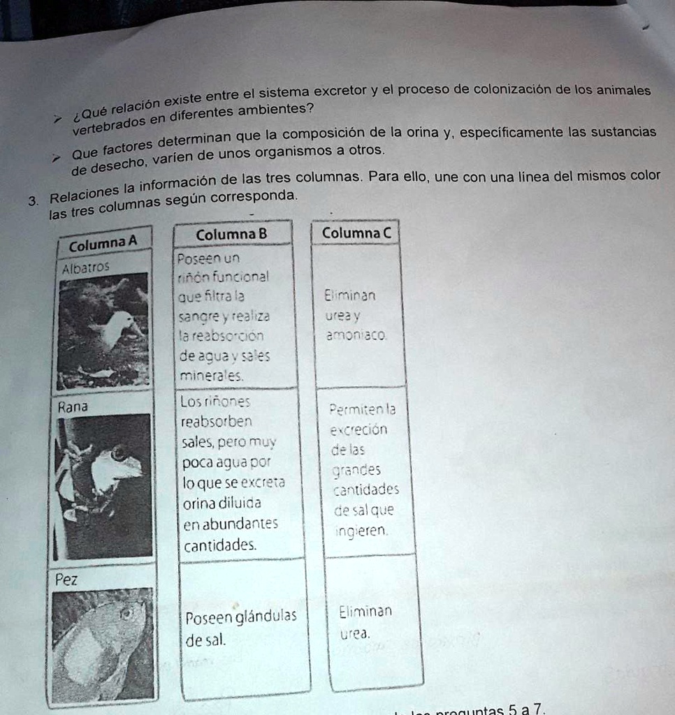SOLVED: ayuda doy corona al que responda bien existe 'entre el sistema excretor y el proceso de ...